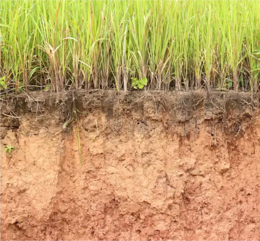 Module 1 - Monitoring Soils in the Riverina Region