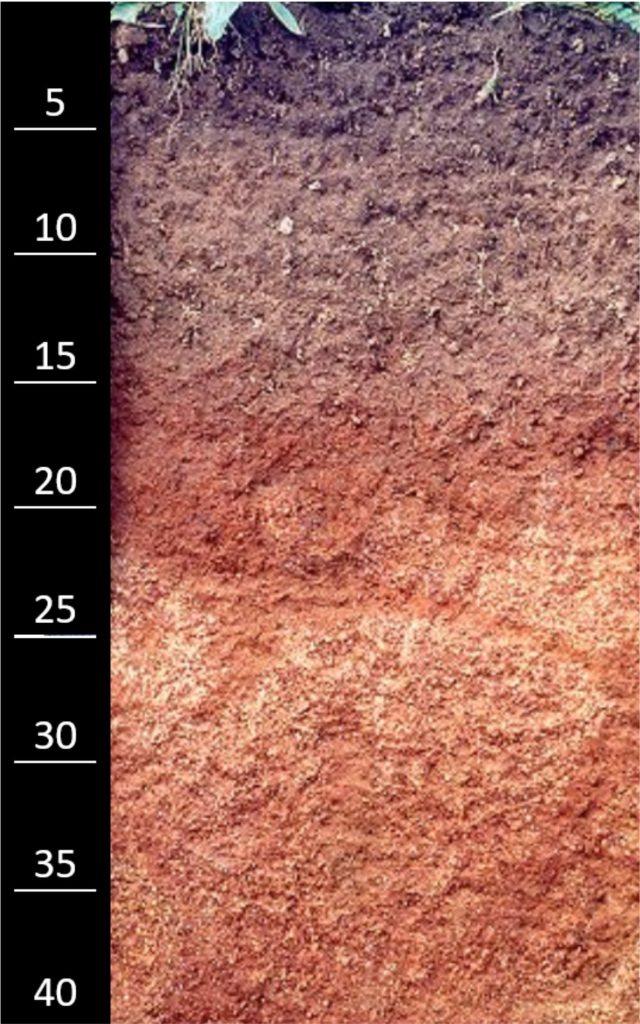 Module 1 - Monitoring Soils in the Riverina Region