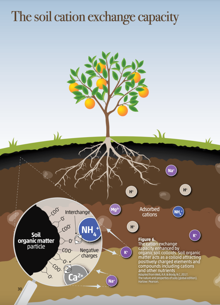 Master Soil Test Results Interpretation