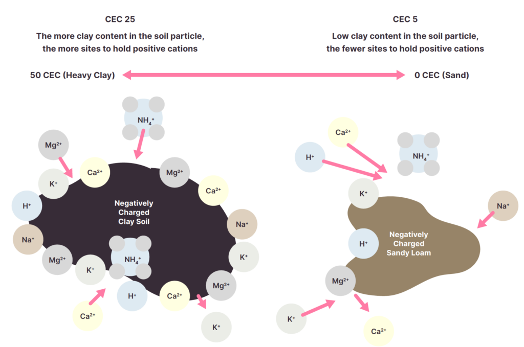 Master Soil Test Results Interpretation
