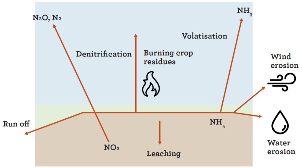 Boost Soil Fertility - Essential Tips & Practices