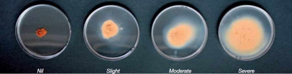 Master Soil Test Results Interpretation
