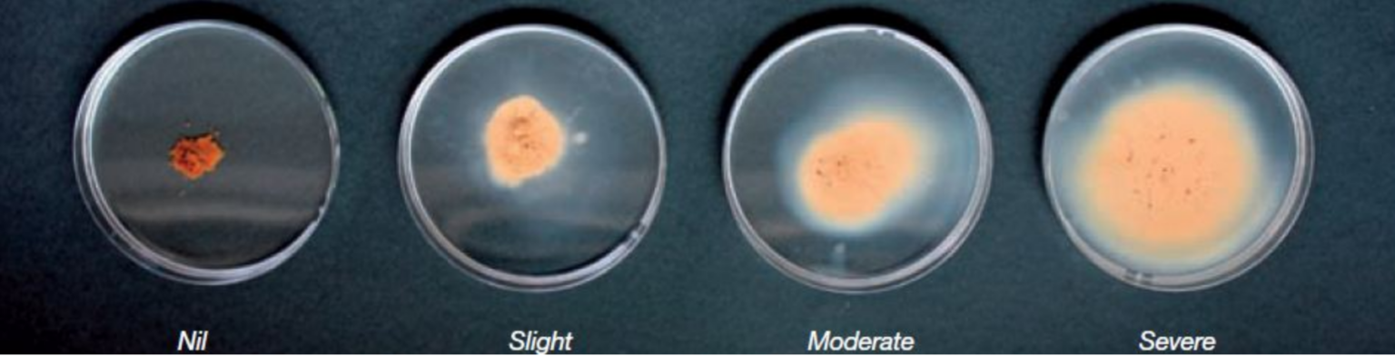 Master Soil Test Results Interpretation