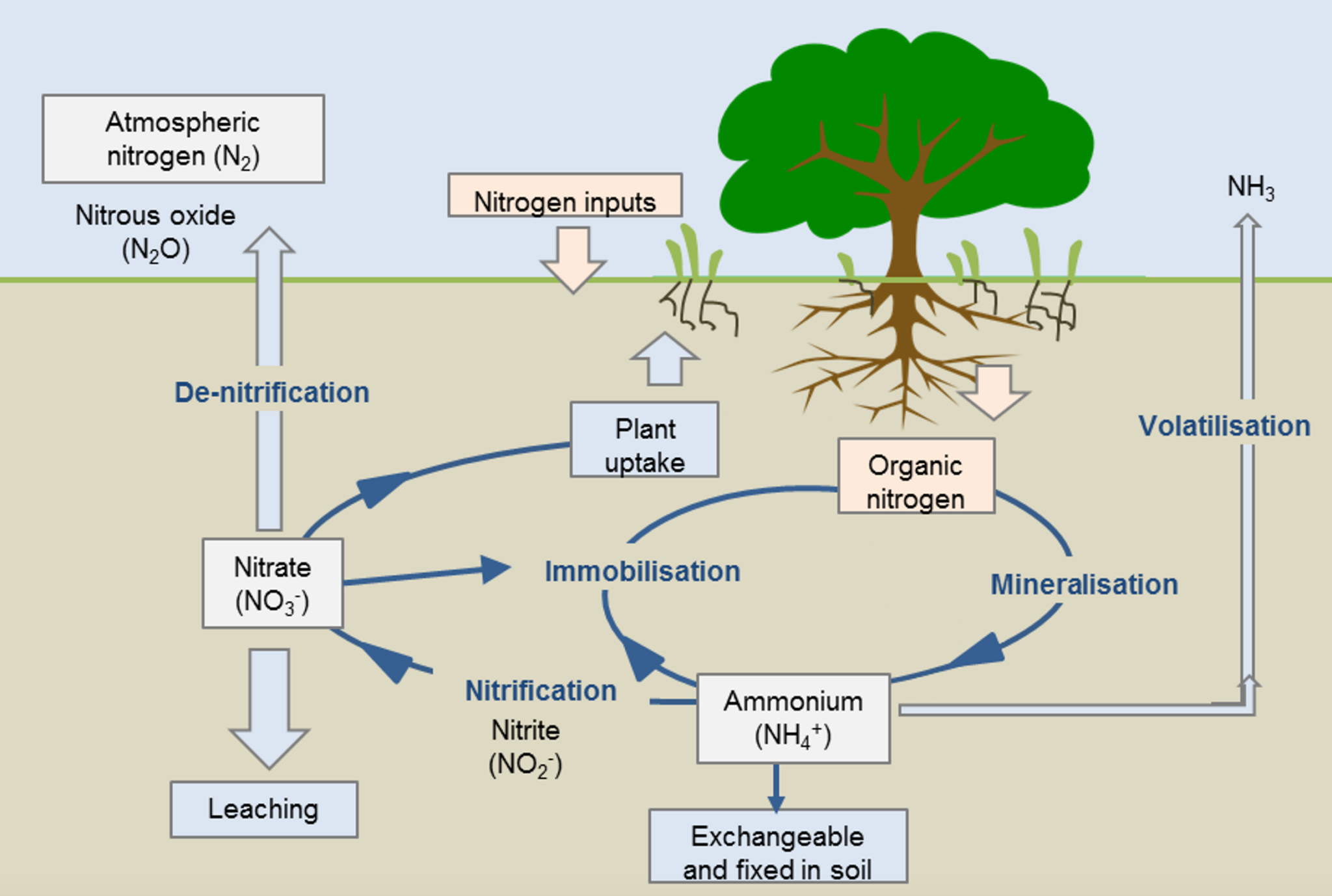 Master Soil Test Results Interpretation
